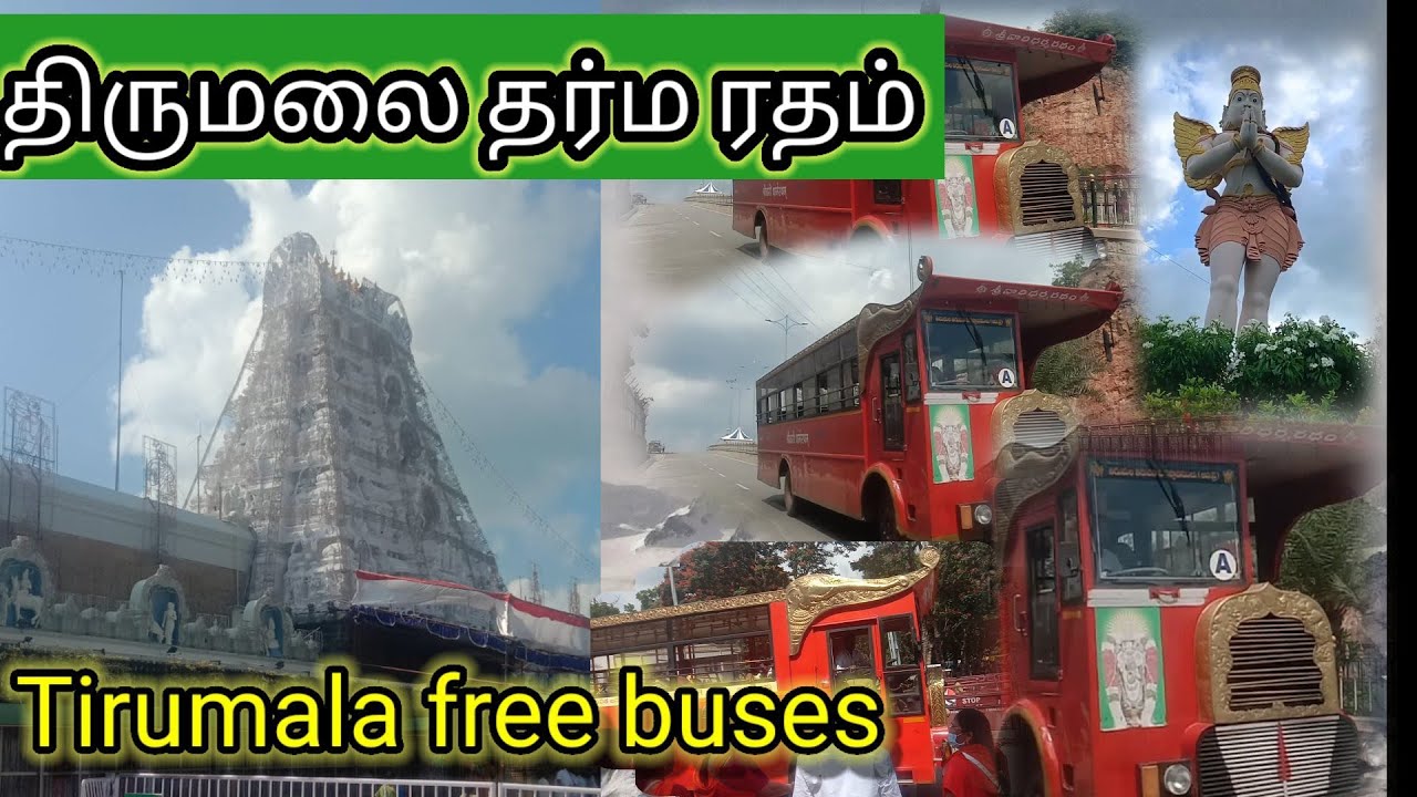 Tirupati balaji Temple buses|திருமலை இலவச பஸ்||Tirumala free buses ...