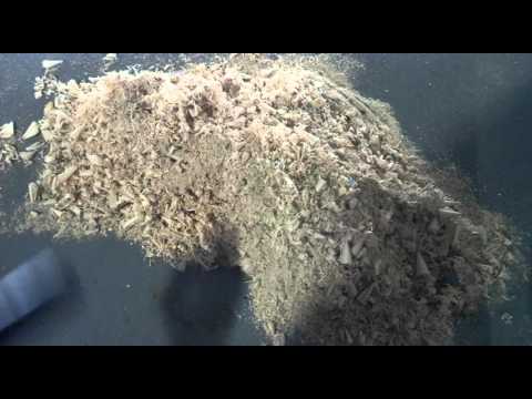 5 Gallon Bucket Cyclone Separator Prototype - YouTube