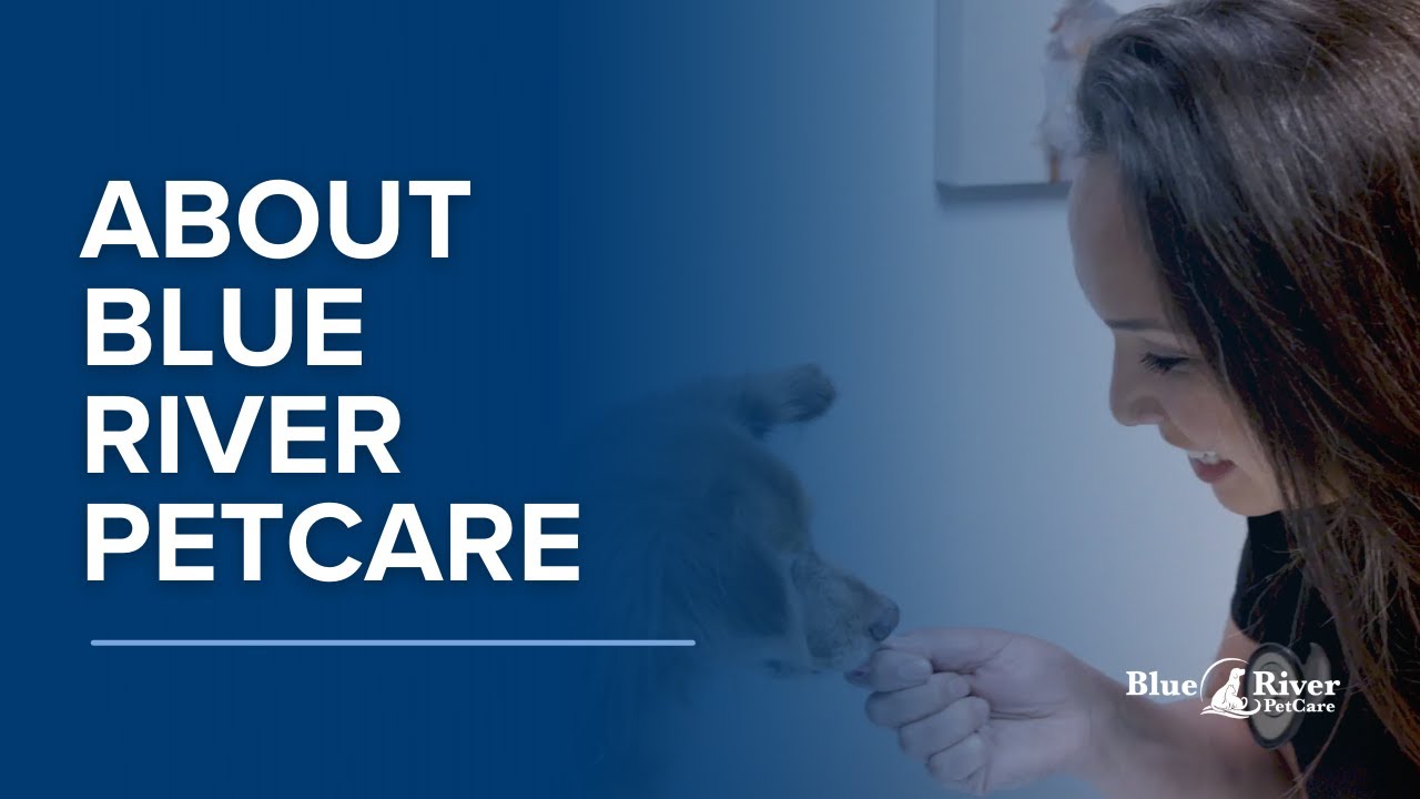 About Blue River PetCare - YouTube