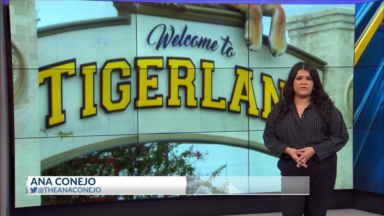 Man dead after fight at Tigerland bar, GoFundMe created to help his ...