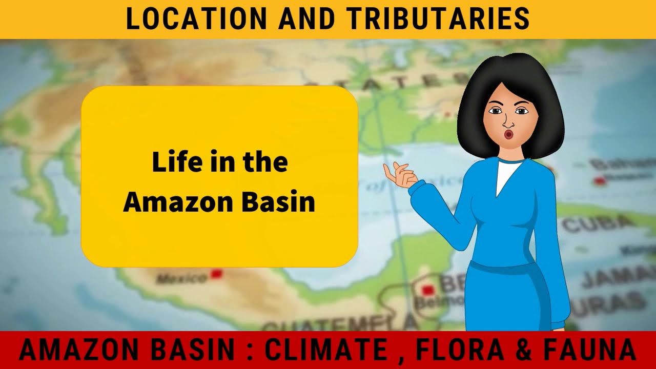 Amazon Basin Climate