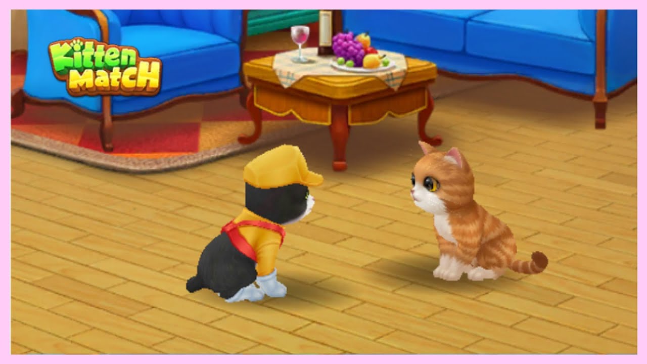 Kitten Match - Cute Cats - YouTube