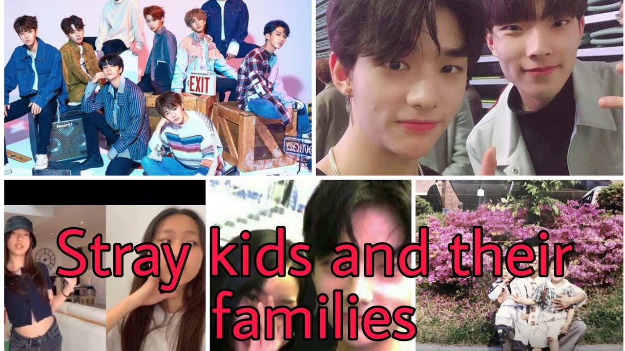 Meet Stray kids Families #straykids#straykidsfamily#sister#brother# ...