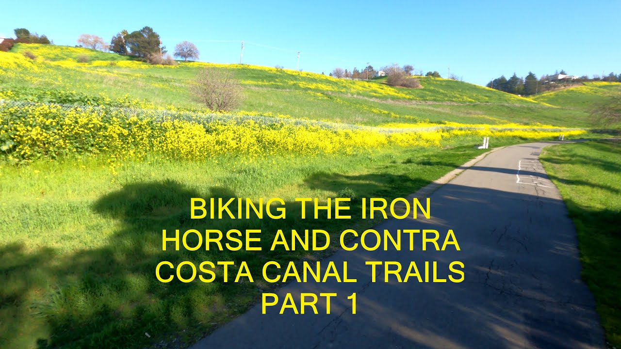 Biking the Contra Costa Canal and Iron Horse Trails Part 1: Concord to ...