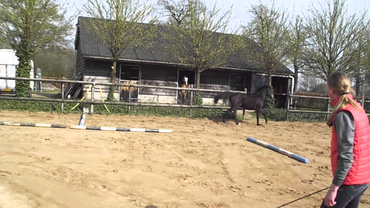 Little Hickstead Balkje - YouTube
