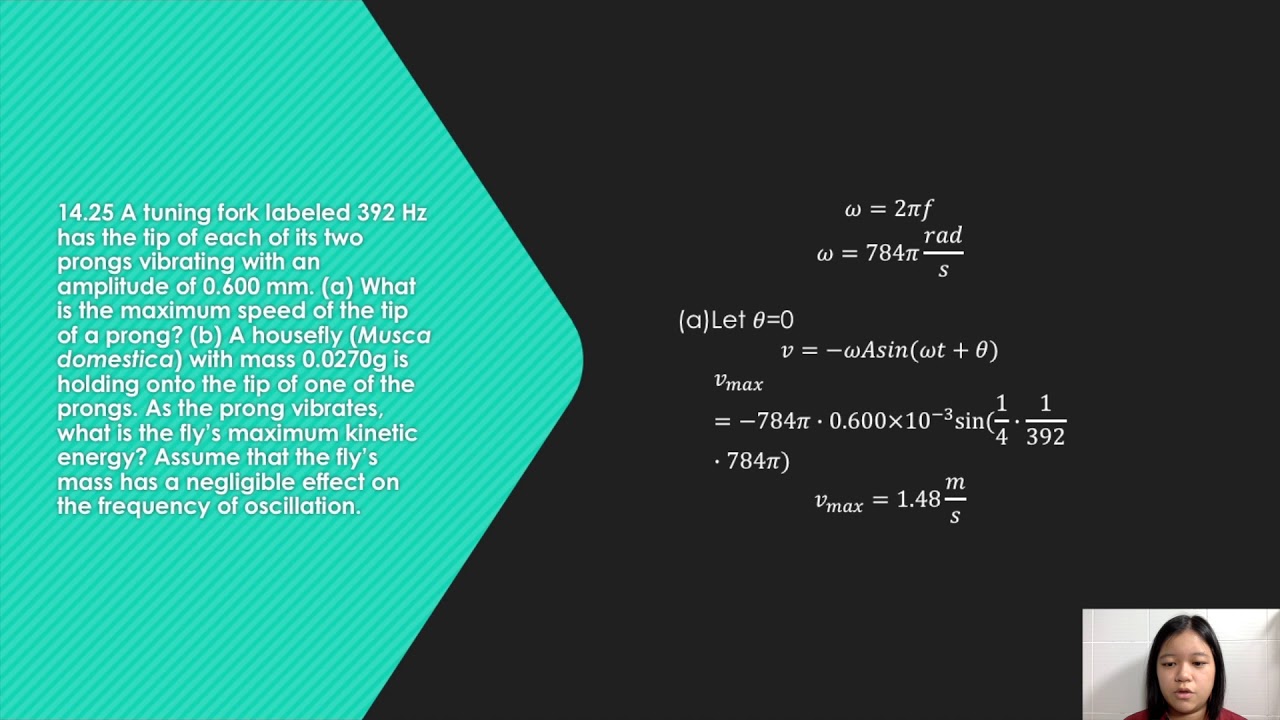 University Physics Chapter 14 Problems - YouTube