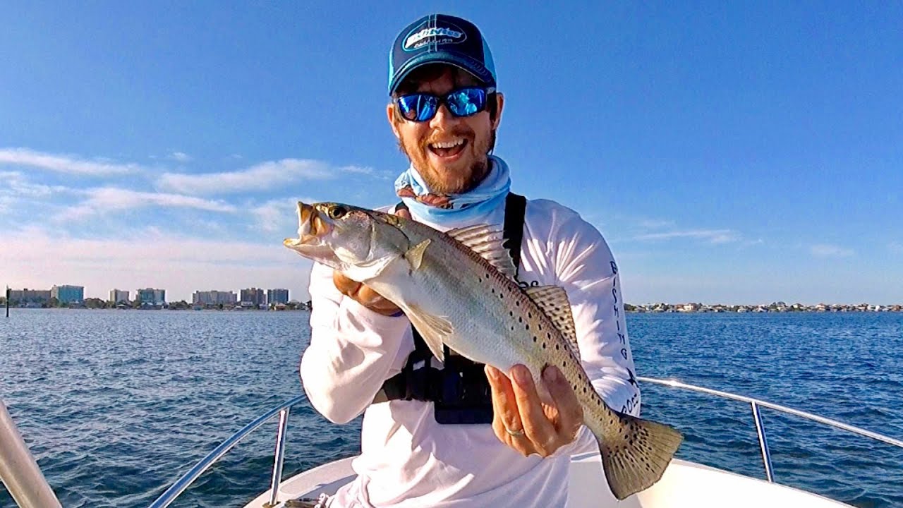 Drifting Live Shrimp for AGGRESSIVE Fish - YouTube