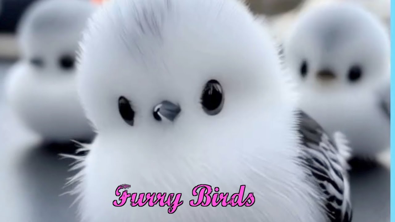 "Tiny Furry Birds: Life with the Smallest Feathery Friends 🐥🐧 ...