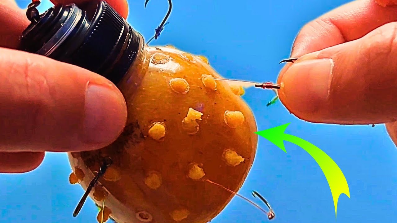 Feeder Fishing Rig to Attract Fish to Your Area | Tips To Catch Fish ...