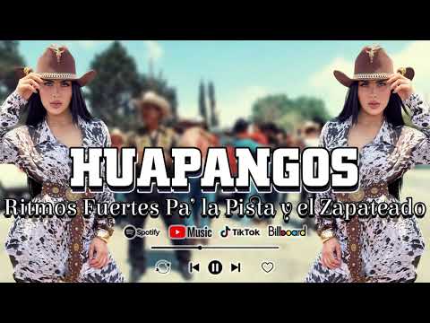 🚨 Mix Chingón de Huapangos 2025 🔊 Ritmos Fuertes Pa’ la Pista y el Zapateado 💃