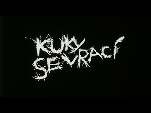 Kuky se vrací (2010) Theatrical Trailer 35mm - 1.1:85 - Czech language (5.1)