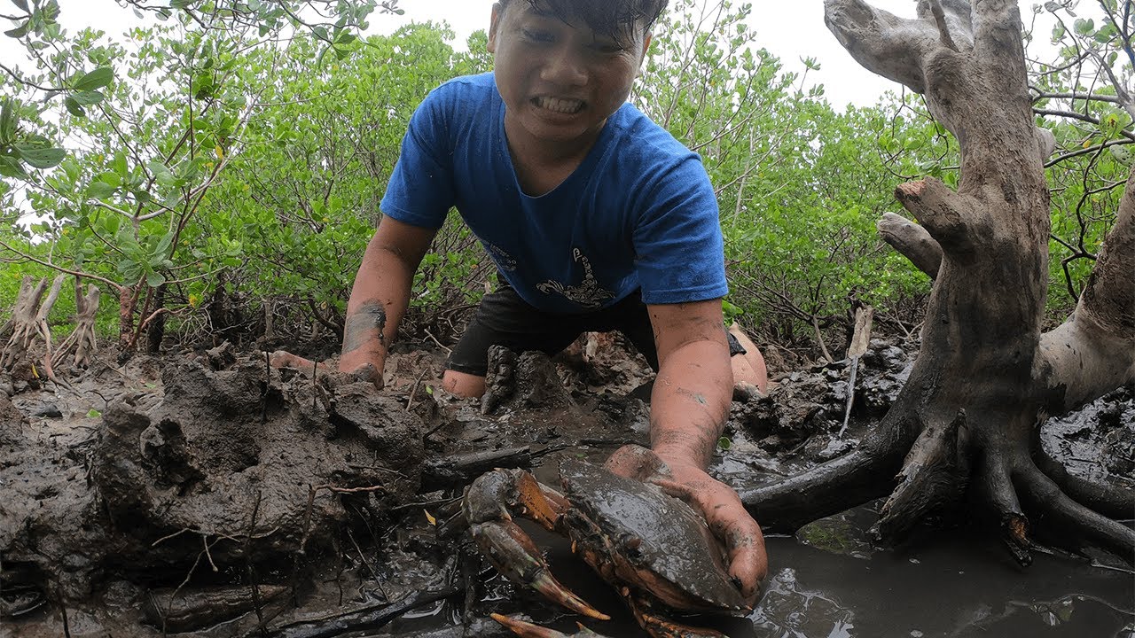 Skillful Finger Grabbing Huge Mud Crab From Small Hole | Fishing Man ...