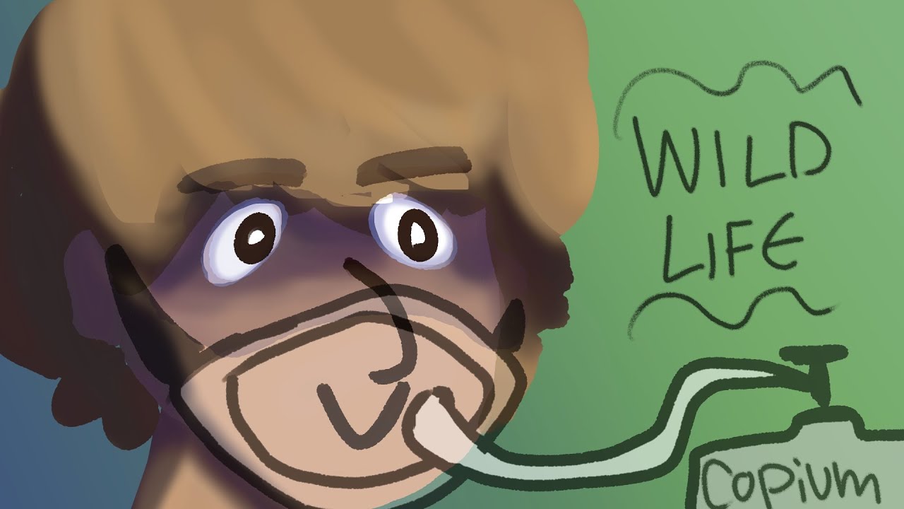 Grian's Copium Levels rising || Wild Life Session 6 - YouTube