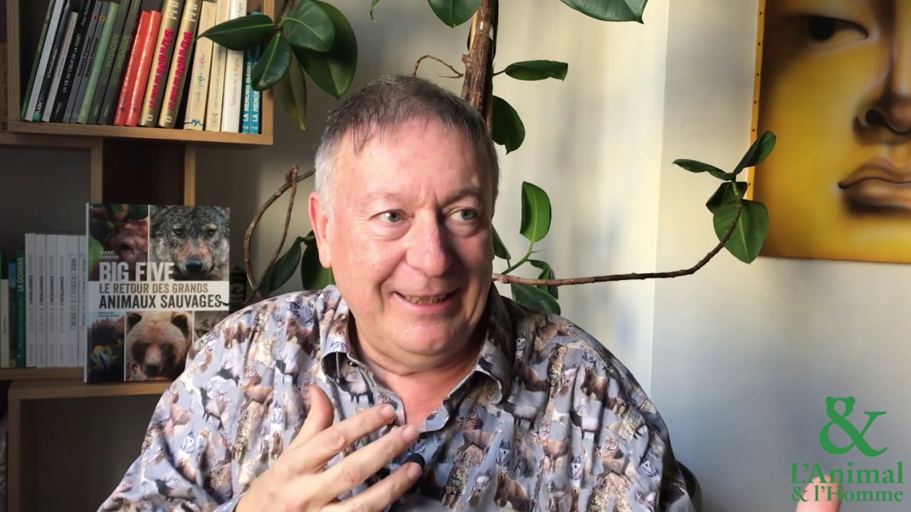 Interview 2 de Marc Giraud : Les prédateurs sont des médecins - YouTube