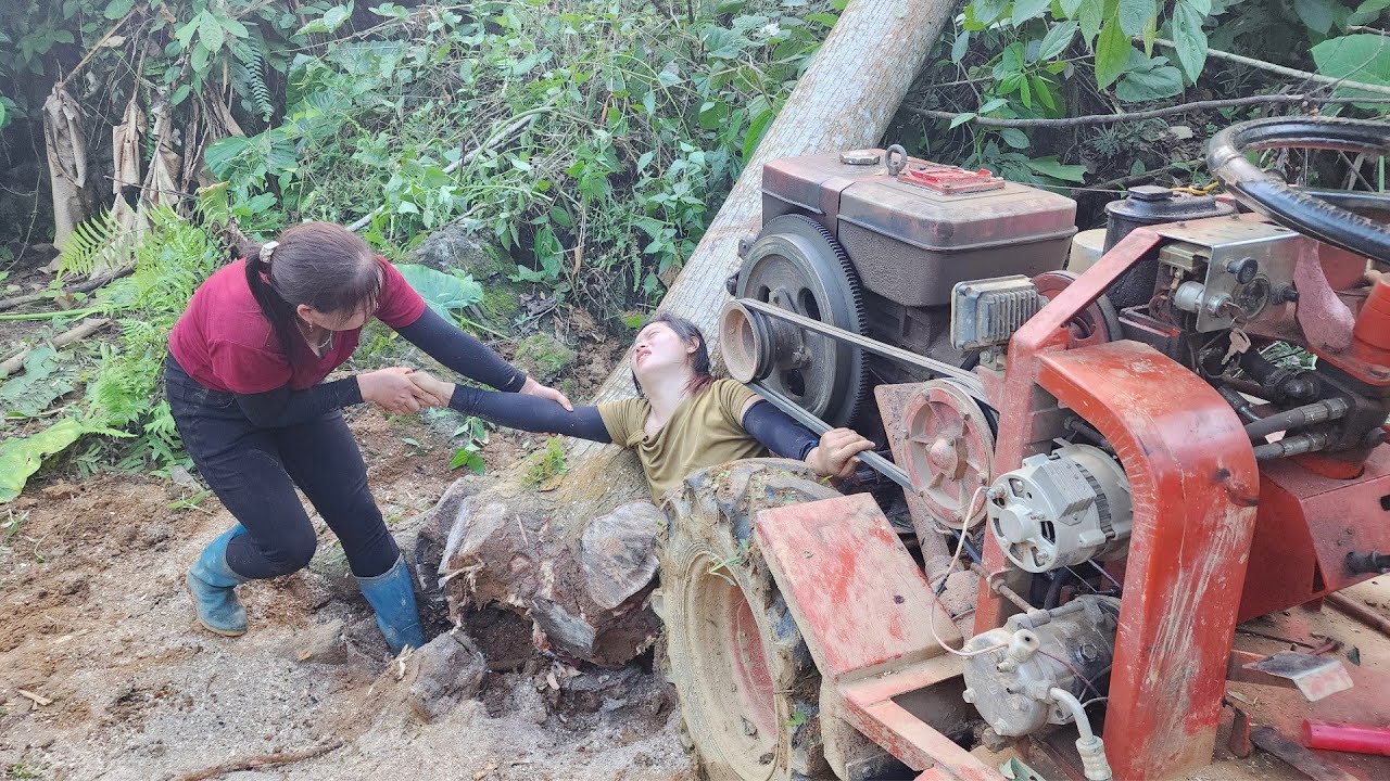 Agricultural Logging Truck - Two Girls Use Their Strength To Harvest ...