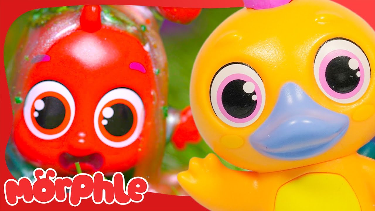 Chroma's Colorful Slimy Entrance 🌈 Morphle Toy Adventures - Cartoons ...