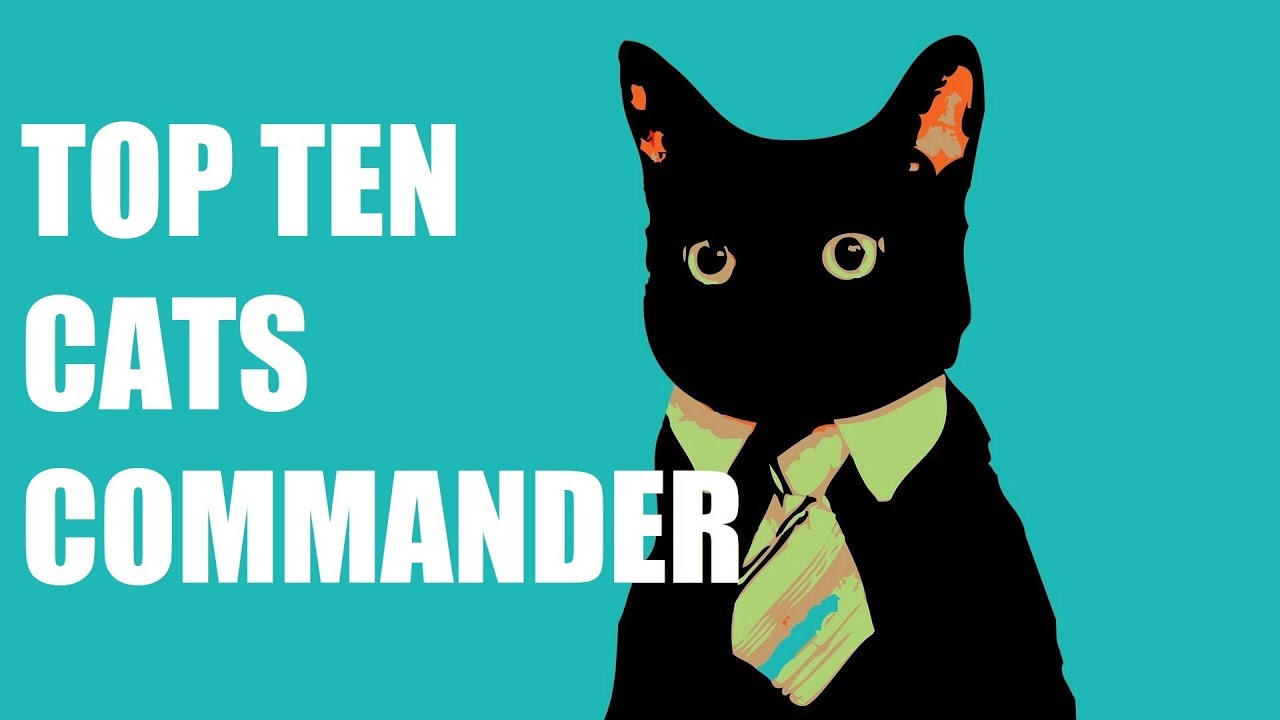 Top Ten MTG: Best Cats In Commander - YouTube