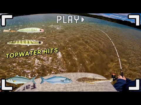 Tathra Estuary Fishing (NSW) - YouTube