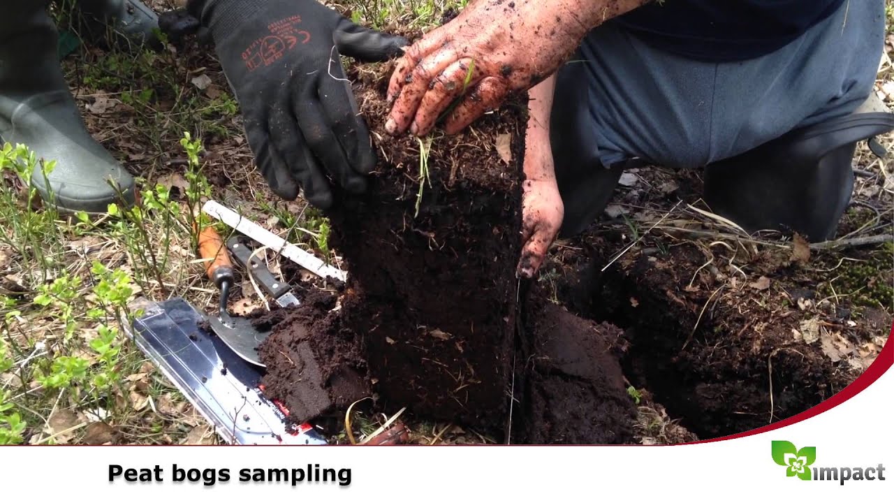 IMPACT - Peat bogs sampling - YouTube