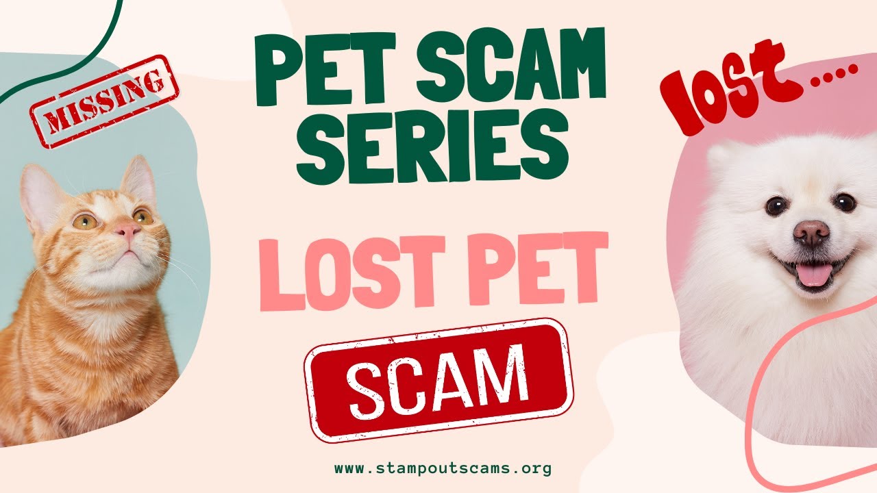 Beware the Heartless Lost Pet Scam: Protect Your Furry Friends! - YouTube