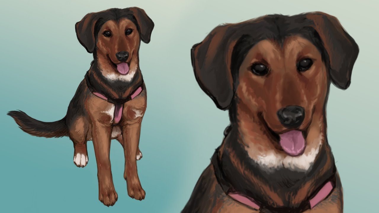 Roo - DOG SPEEDPAINT - YouTube