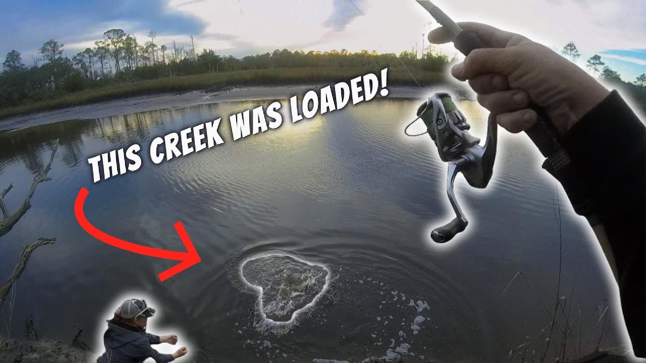 Exploring JACKSONVILLE | Fishing for Speckled Trout in Florida's Hidden Creeks! - YouTube