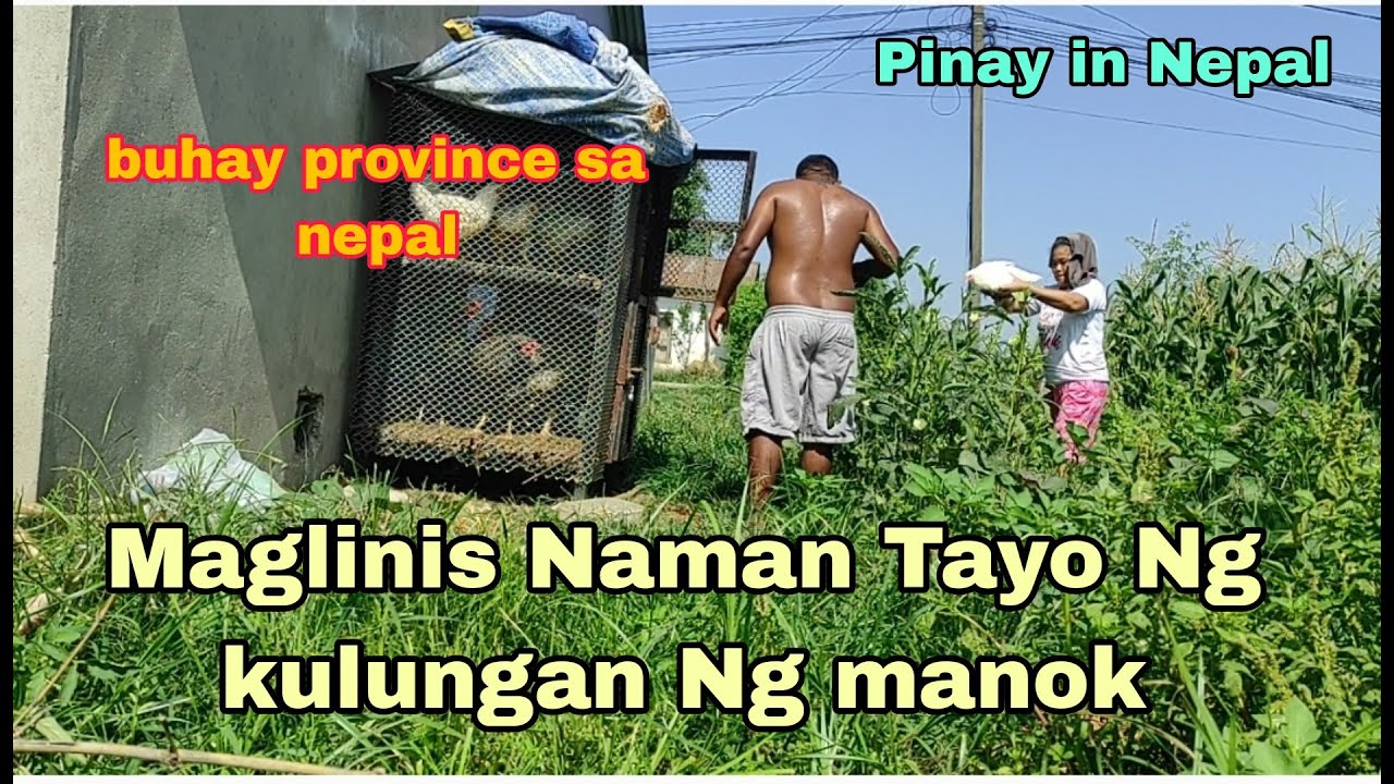 Maglinis Naman Tayo Ng kulungan Ng manok! - YouTube
