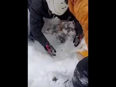 Van Bahçesaray  çığ felaketinde yaşa boğan kurtarma operasyonu