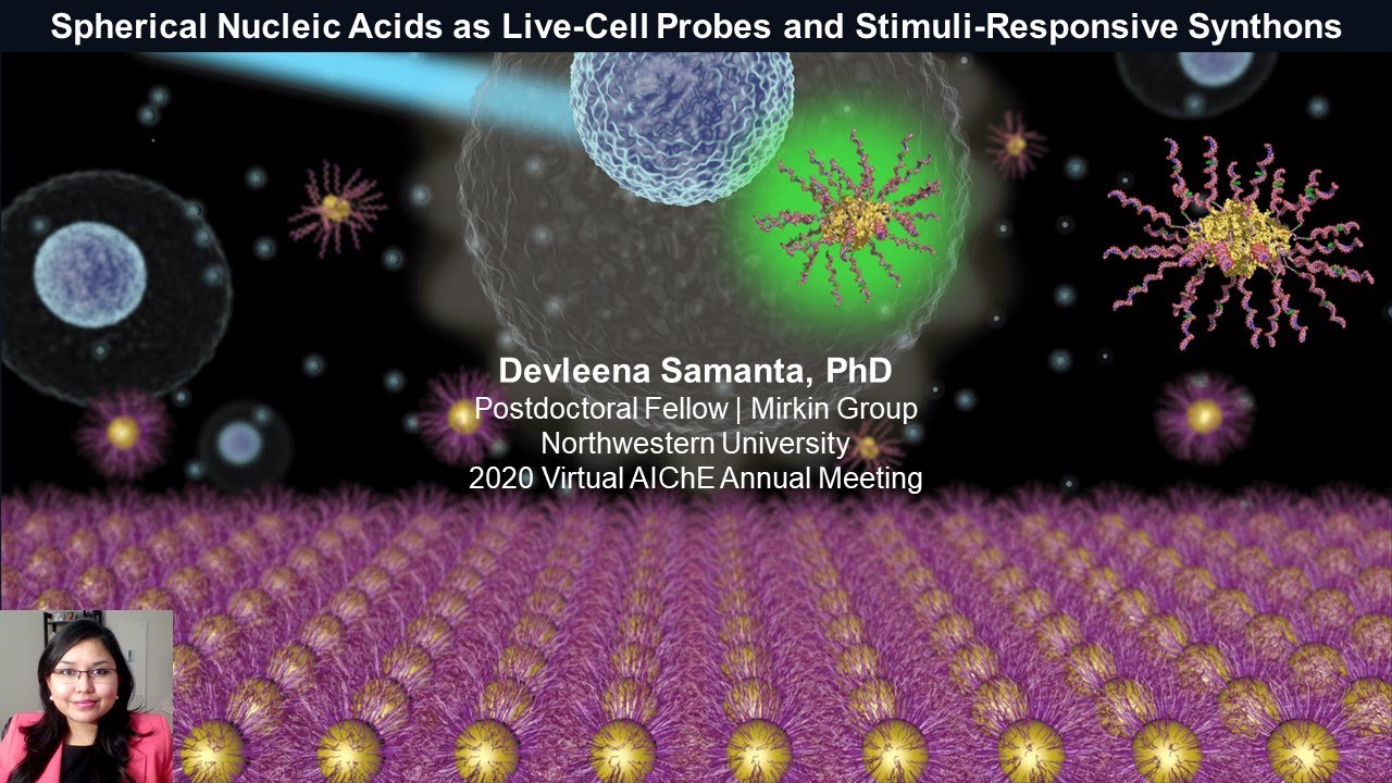 Spherical Nucleic Acids as Live-Cell Probes and Stimuli-Responsive ...