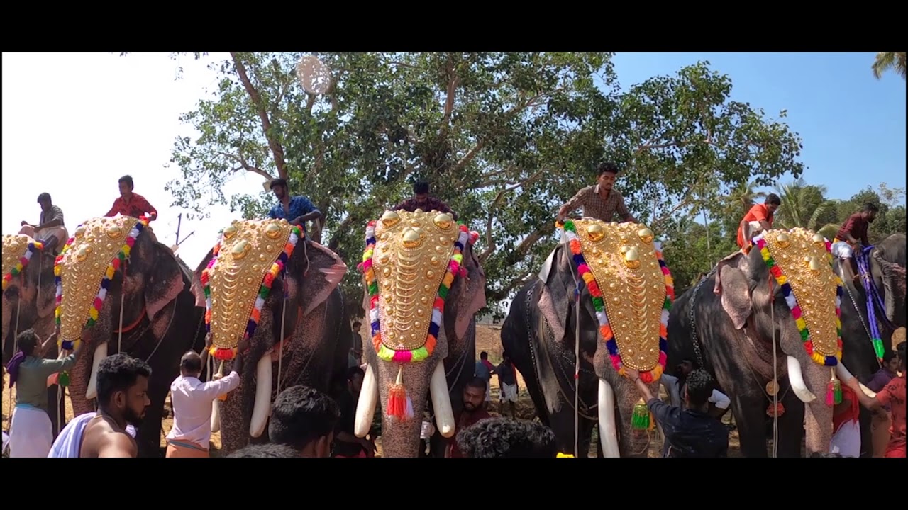 Uthralikkavu pooram - The beauty inside - YouTube
