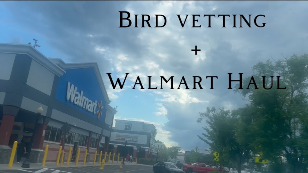 Bird Vetting + Walmart Haul - YouTube