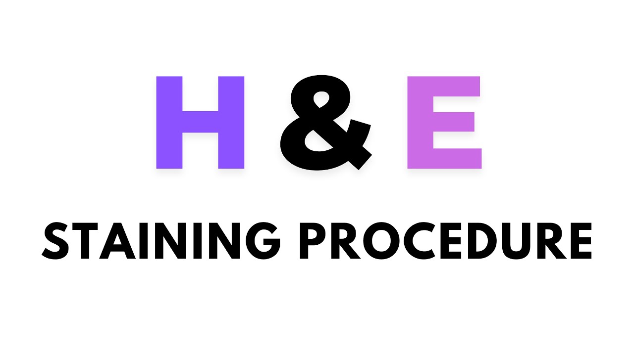 Hematoxylin and eosin staining procedure, H & E staining steps, H&E ...
