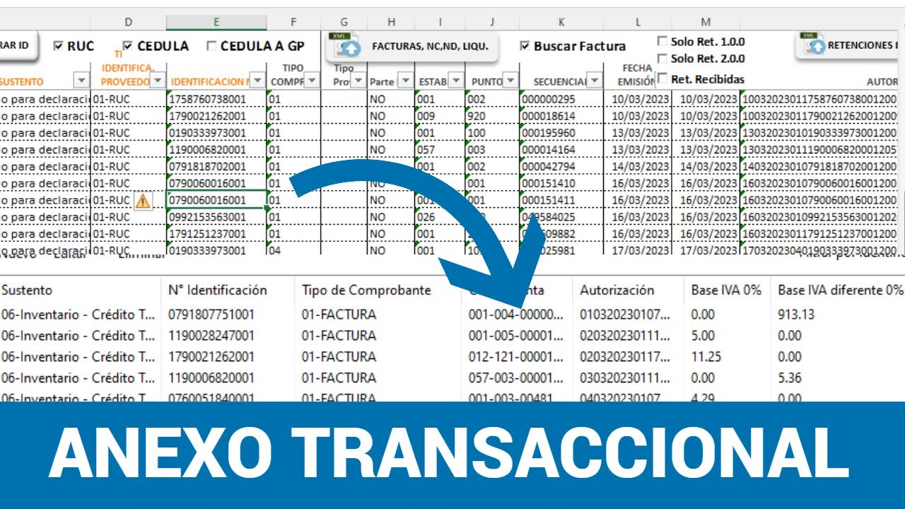 📌Guía completa generar el anexo transaccional con plantilla de Excel ...