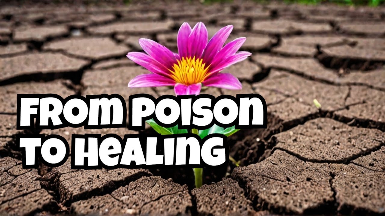 Fear: Deadly Plants Used for Healing - YouTube