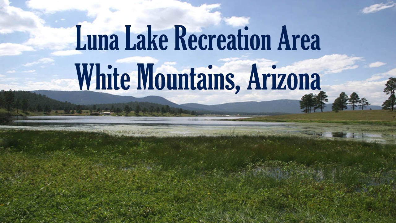 Luna Lake, Arizona White Mountains. Camping, birdwatching and wildlife ...