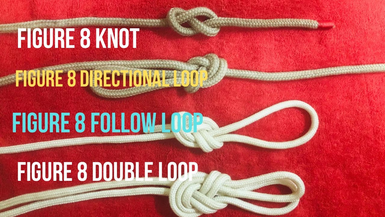 Figure 8 knot , figure 8 directional loop , figure 8 follow loop ...