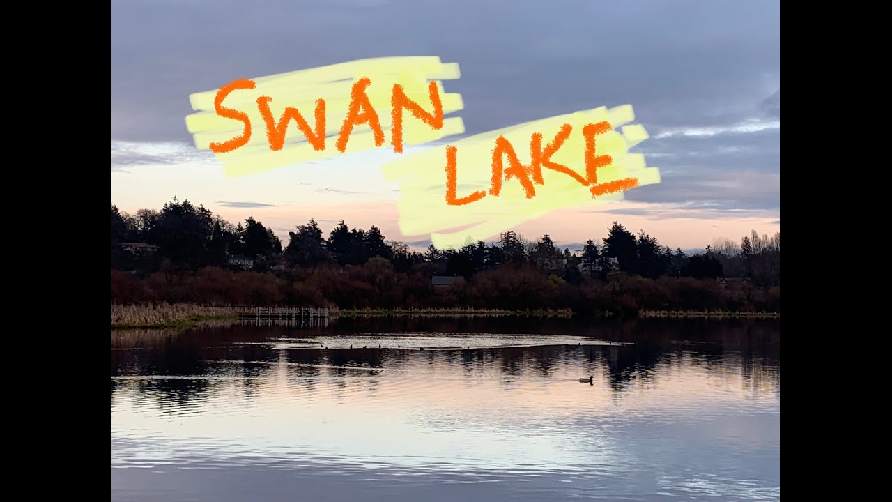 Swan Lake Trail in a Beautiful Afternoon || Victoria, BC, Canada - YouTube
