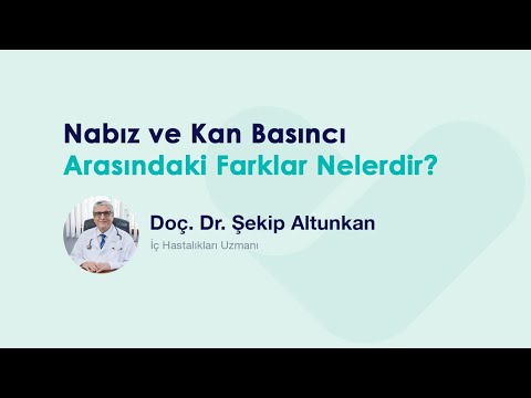 Nabız ve Kan Basıncı Arasındaki Farklar Nelerdir? - Doç. Dr. Şekip Altunkan
