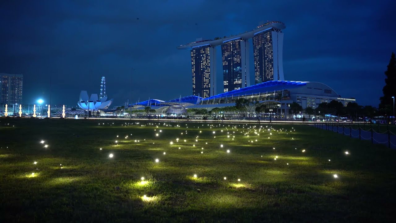 Firefly Field - iLight Singapore - Studio Toer - YouTube
