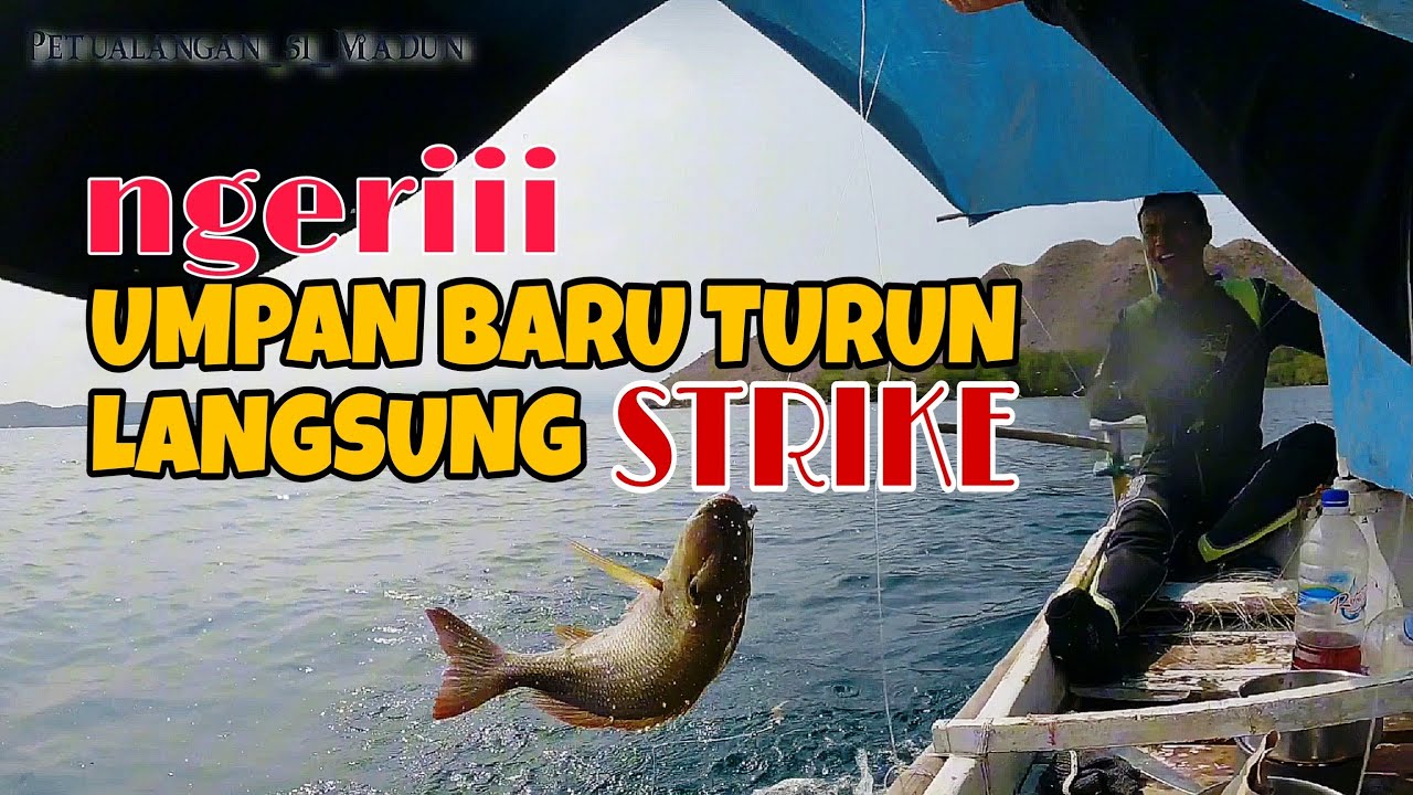 Spearfishing lanjut mancing| Episode 5: mancing tradisional ala suku ...