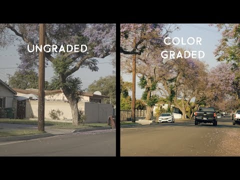 How to Color Grade C Log Footage from the Canon EOS R & Atomos Ninja V ...