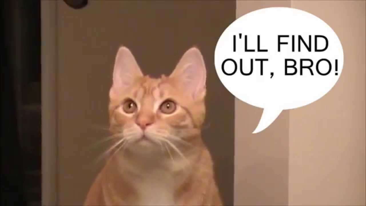 Max the Mighty Bug Hunter - YouTube