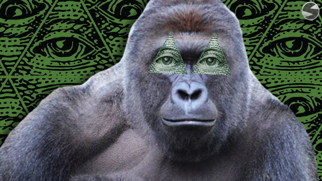 HARAMBE IS CONFIRMED BY ILLUMINATI - YouTube