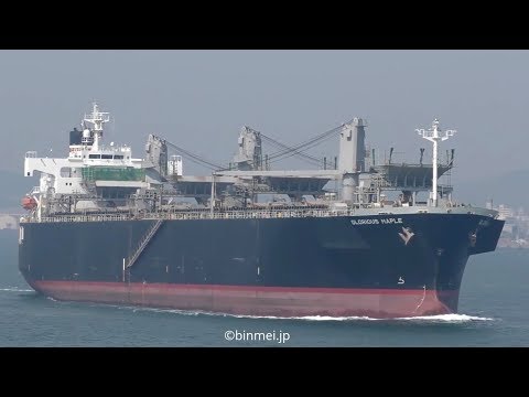 GLORIOUS MAPLE - SANDIGAN SHIP SERVICES wood chips carrier - YouTube