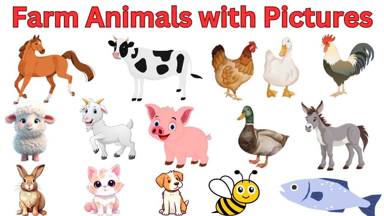 Different Animals In The Farm