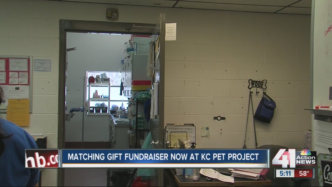 KC Pet Project creates Roadrunner Fund to help other animals - YouTube