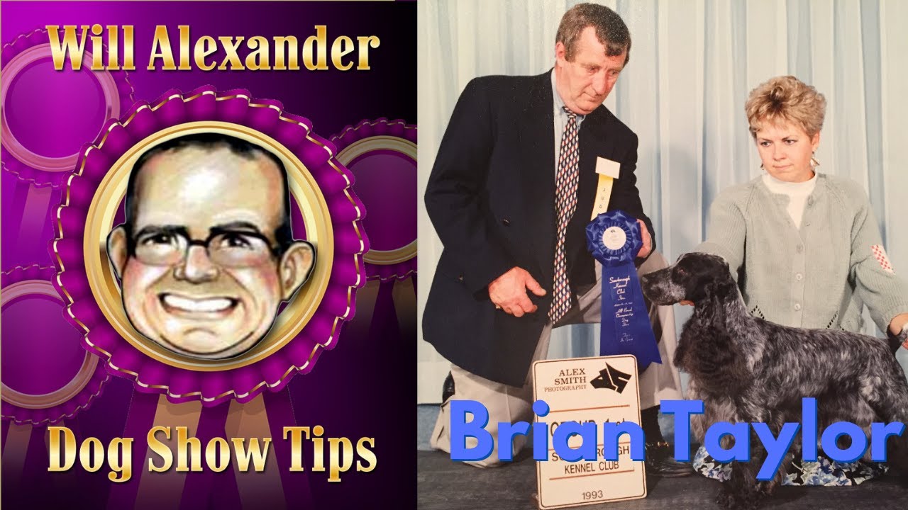 DST Brian Taylor Interview - YouTube
