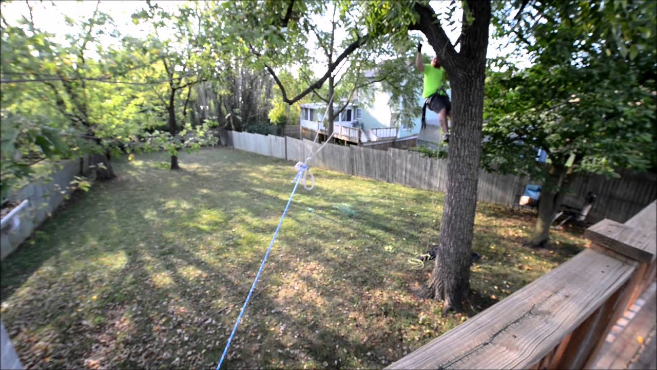Climbing a tree to remove dead limb - YouTube