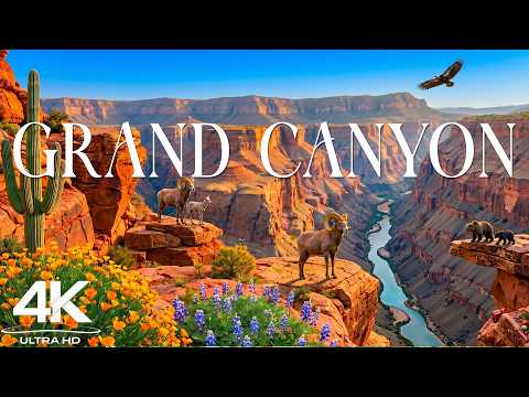 Grand Canyon 4K – The Most Unique Natural Wonder of the United States – World Heritage Site