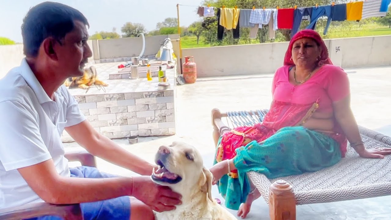 Labrador Retriever Jimmy Wants Attention From My Father - YouTube